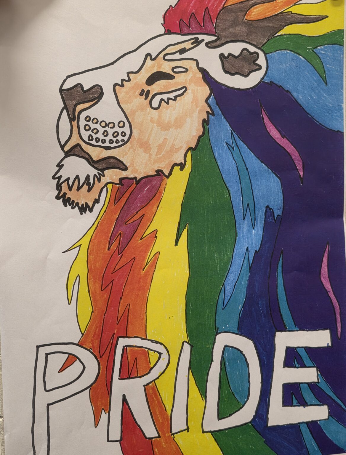 Stand Up Awareness Week 2025 - Sandford Park School Dublin